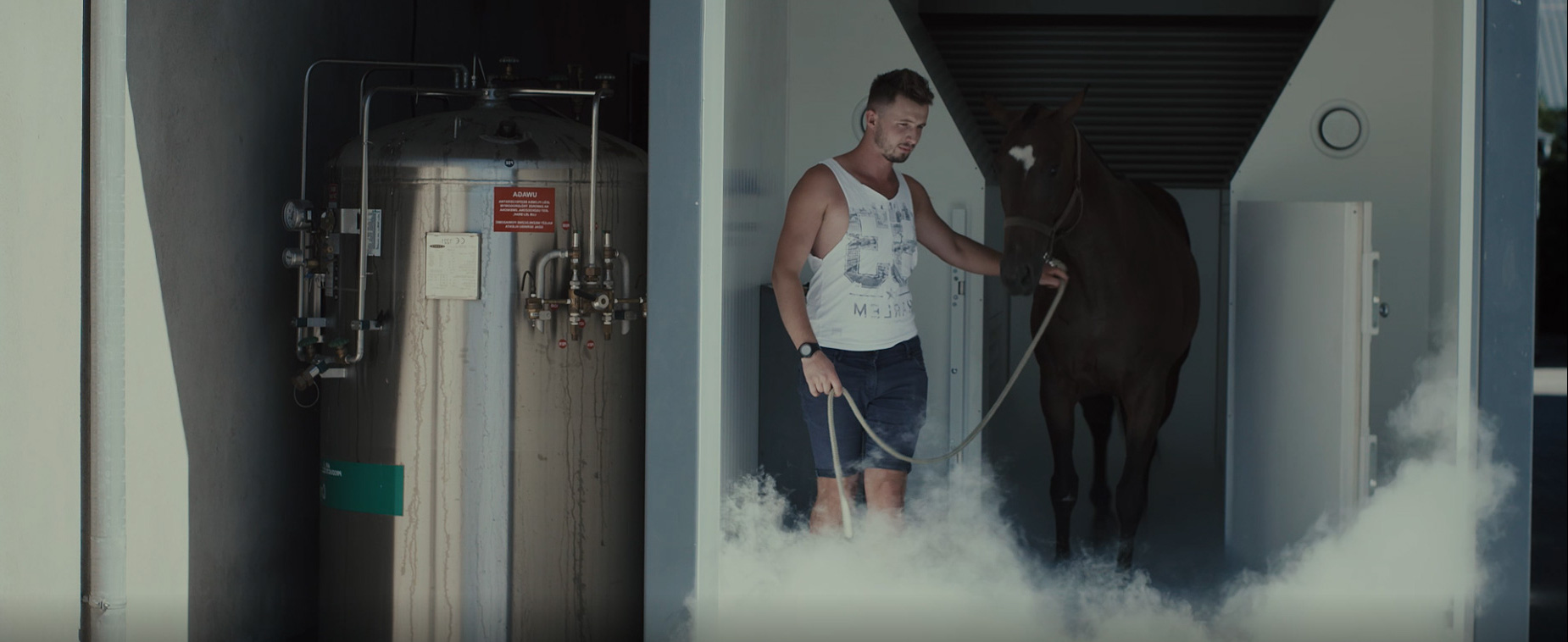 Ice Health Cryotherapy | Cryotherapy Equipment We Offer