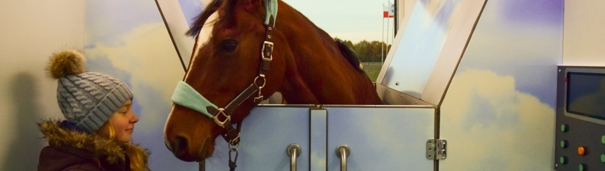 Ice Health Cryotherapy | Cryotherapy Equipment We Offer